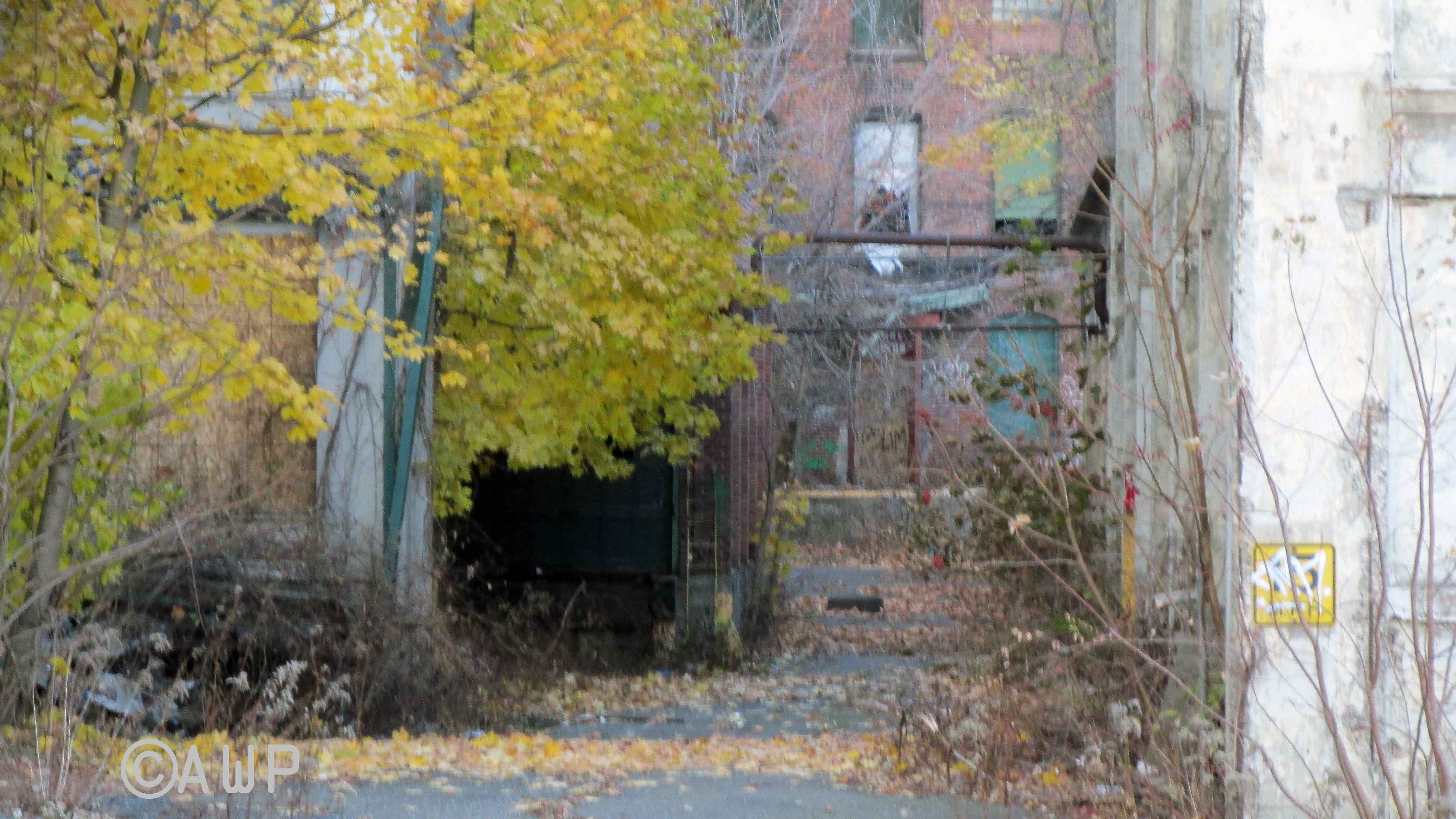 09 | January | 2018 | Abandoned Wonders