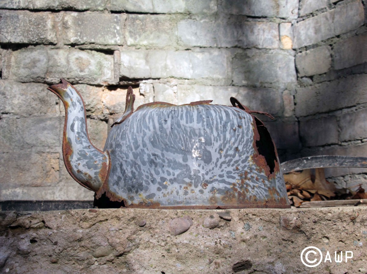 Spider Weeds – The Abandoned Helen Lohman House | Abandoned Wonders