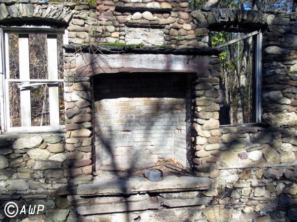 Spider Weeds – The Abandoned Helen Lohman House | Abandoned Wonders